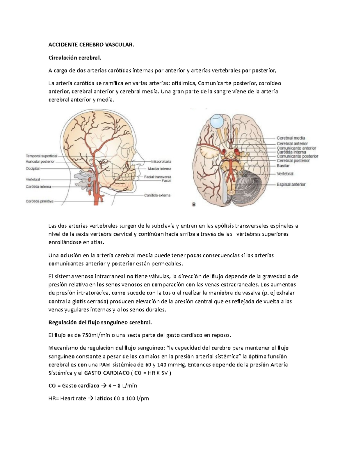 Resumen y apuntes ACV - ACCIDENTE CEREBRO VASCULAR. Circulación ...