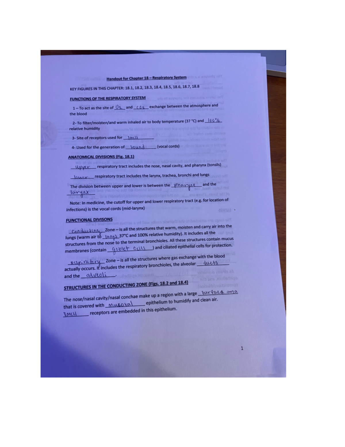 Chapter 18 - diagram - 1330 - Studocu