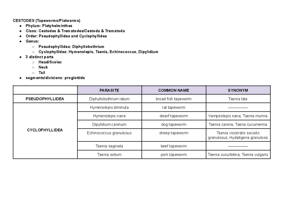 Cestodes and trematodes - CESTODES (Tapeworms/Flatworms) Phylum ...