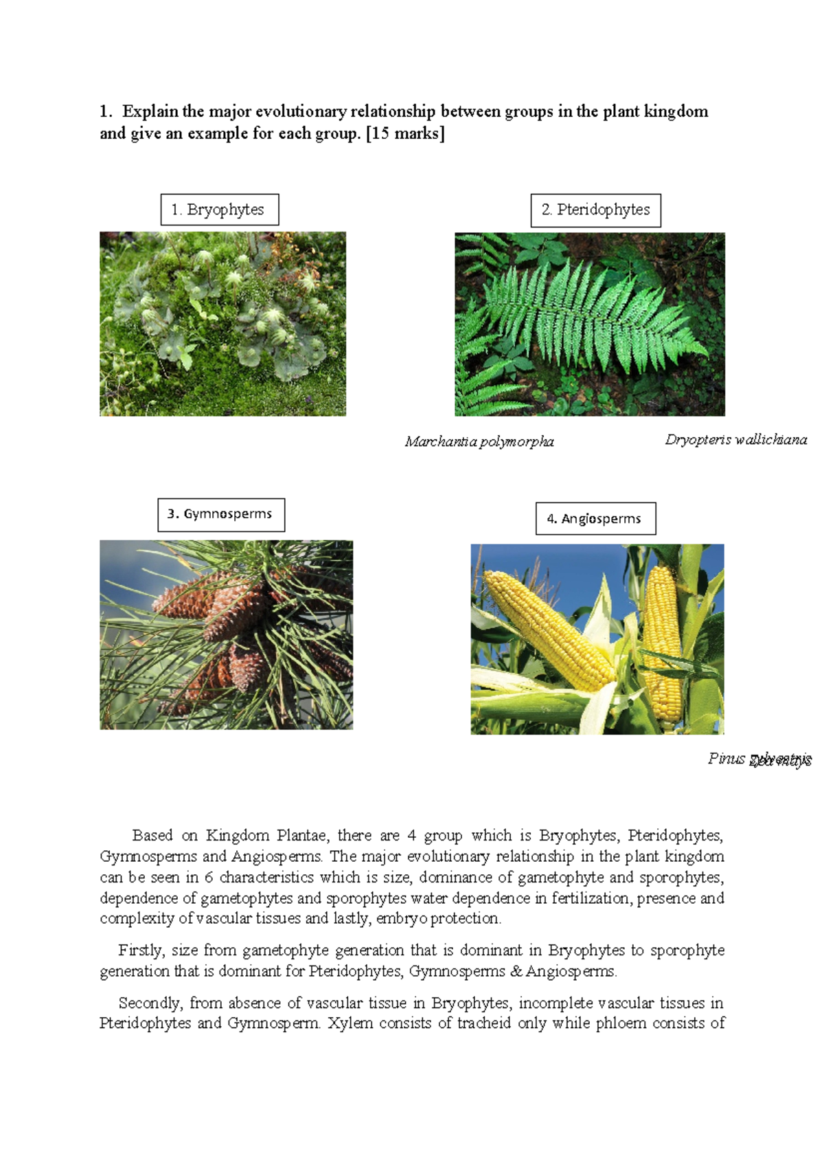 Final Assignment Biology - 1. Explain the major evolutionary ...