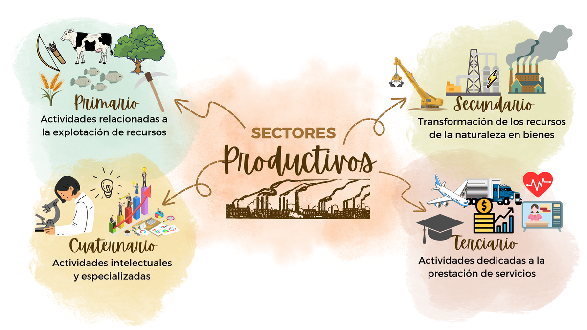 Mapa mental de los sectores productivos - Estructura económica del México Independiente - Studocu