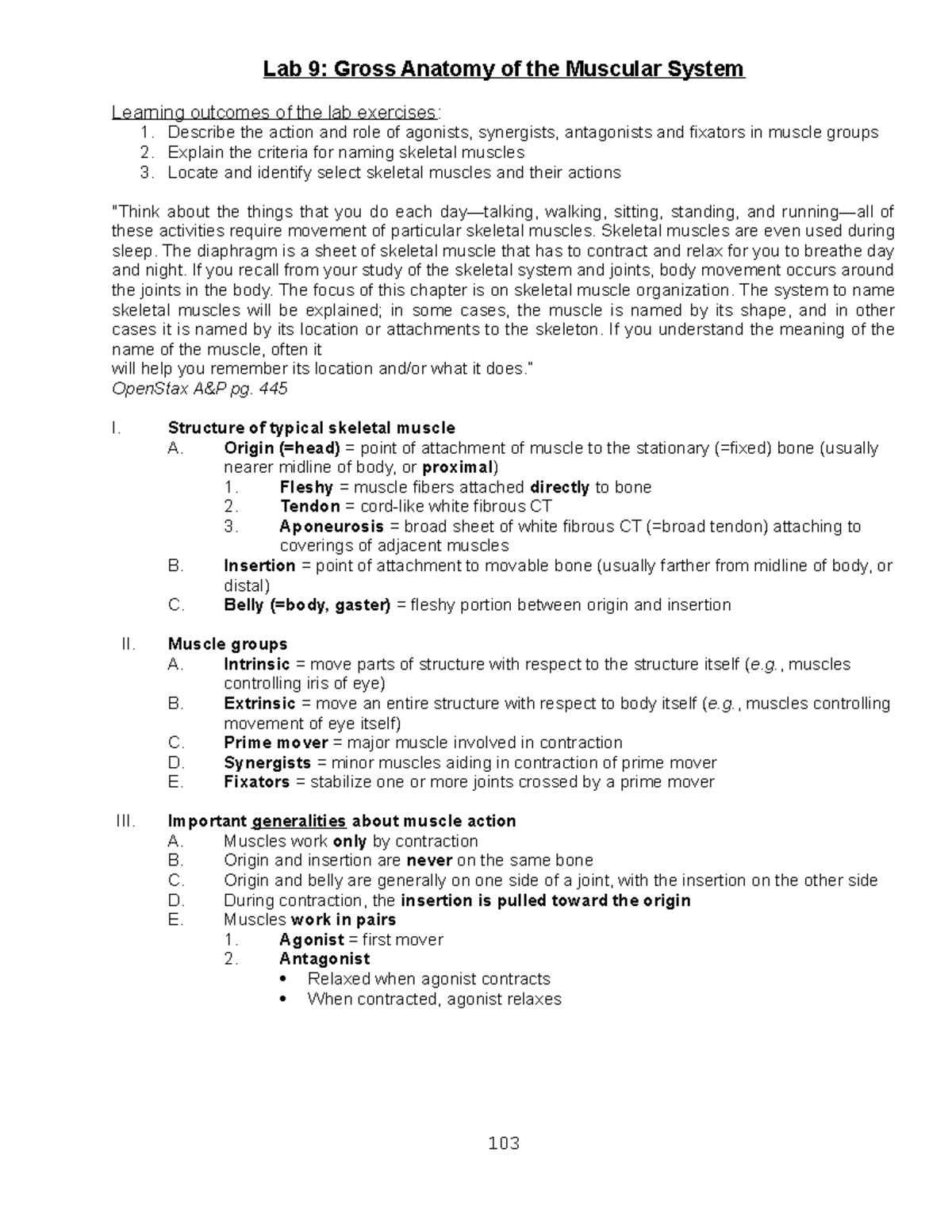 AP1 Lab9 Gross Anatomy of Muscular System FA2021 - Lab 9: Gross Anatomy ...