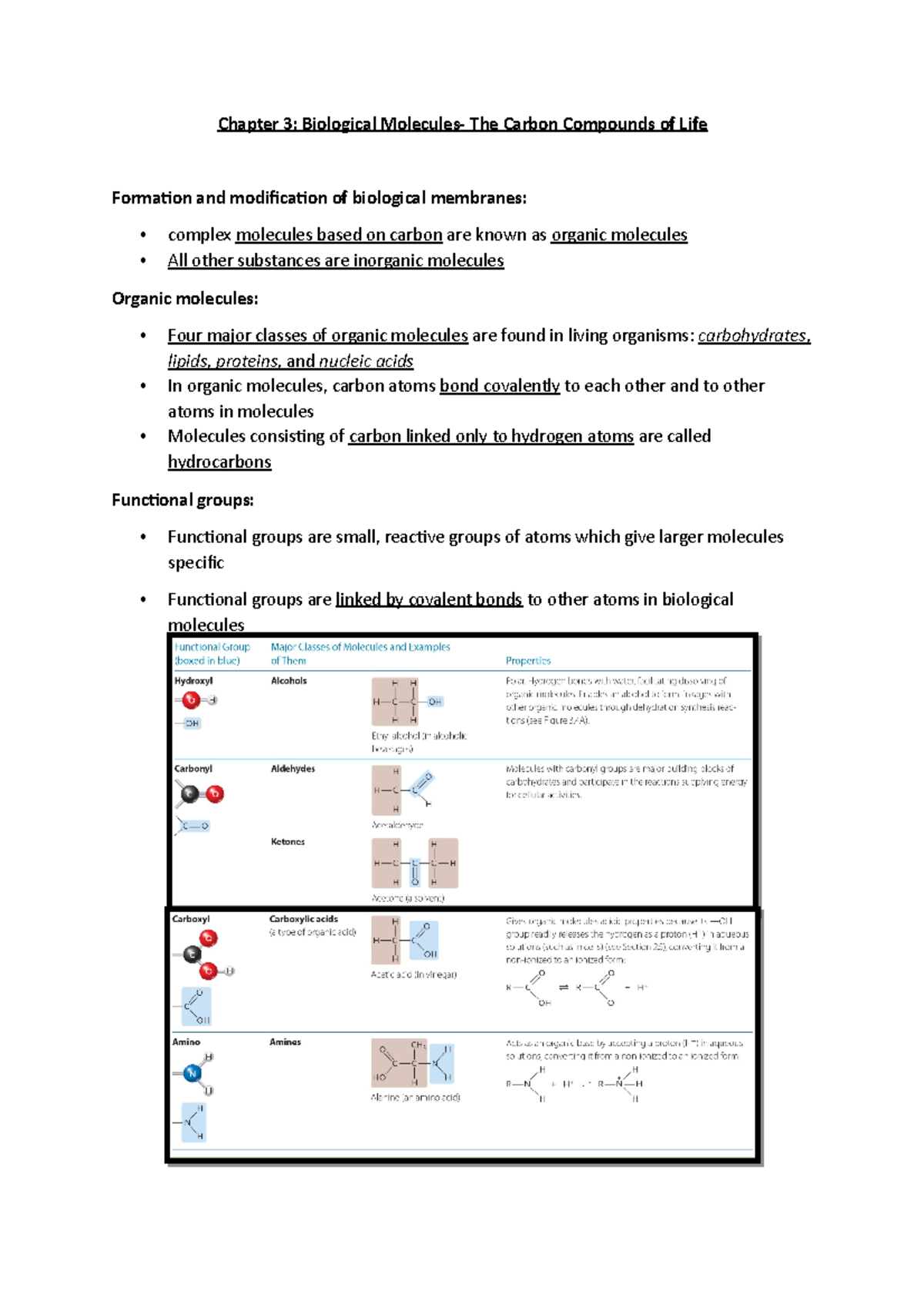 Chapter 3 Biochemistry - Chapter 3: Biological The Carbon Compounds of ...