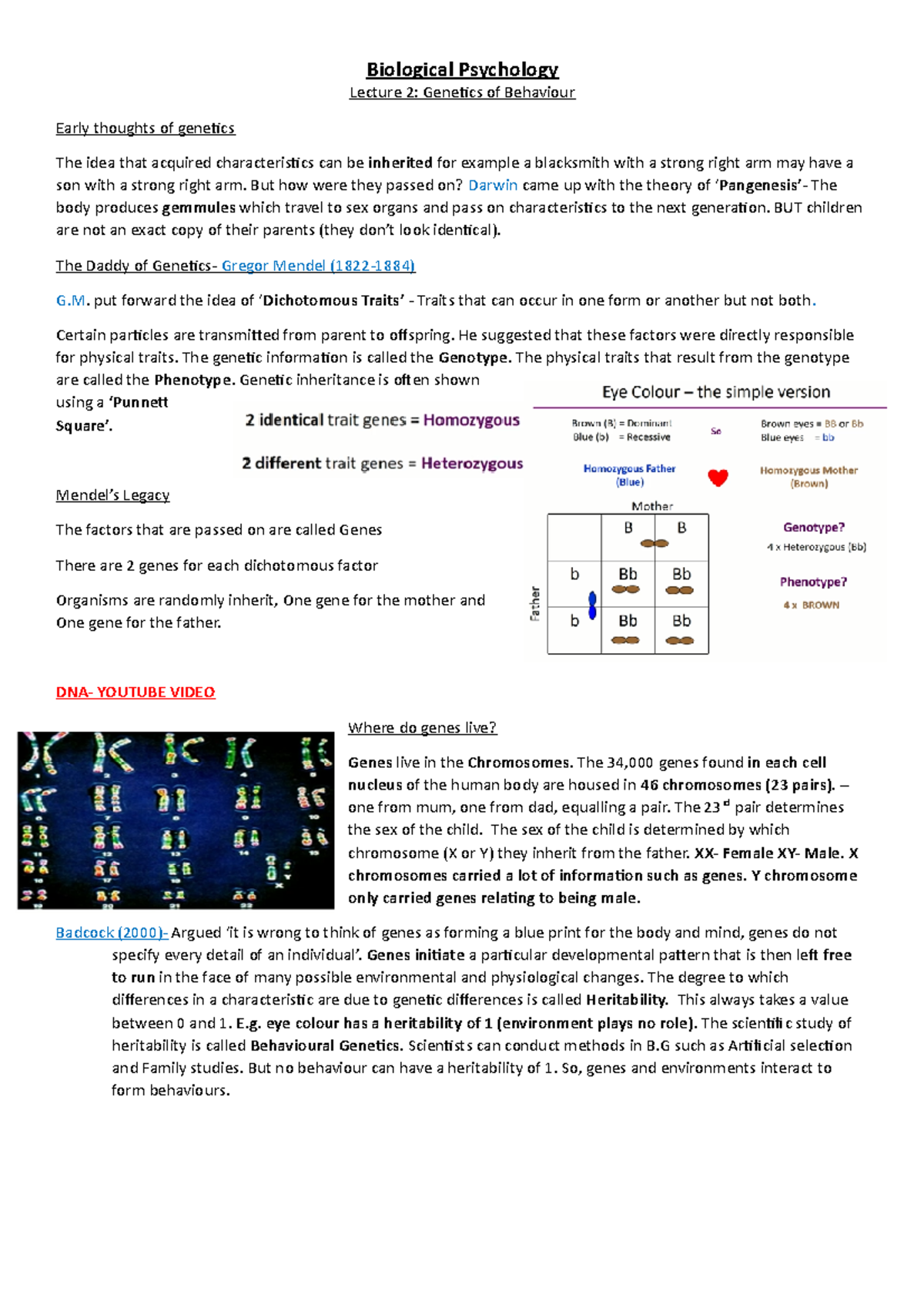 Lecture 2 - Biological Psychology Lecture 2: Genetics of Behaviour ...