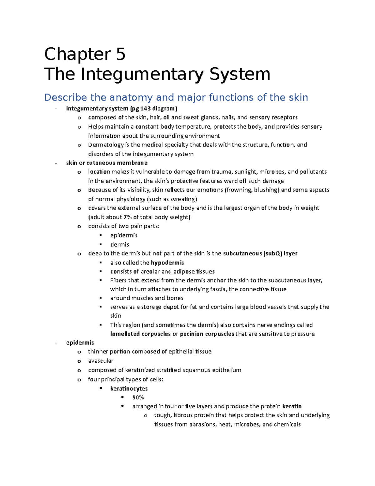 Ch 5 - Chapter 5 The Integumentary System Describe the anatomy and ...