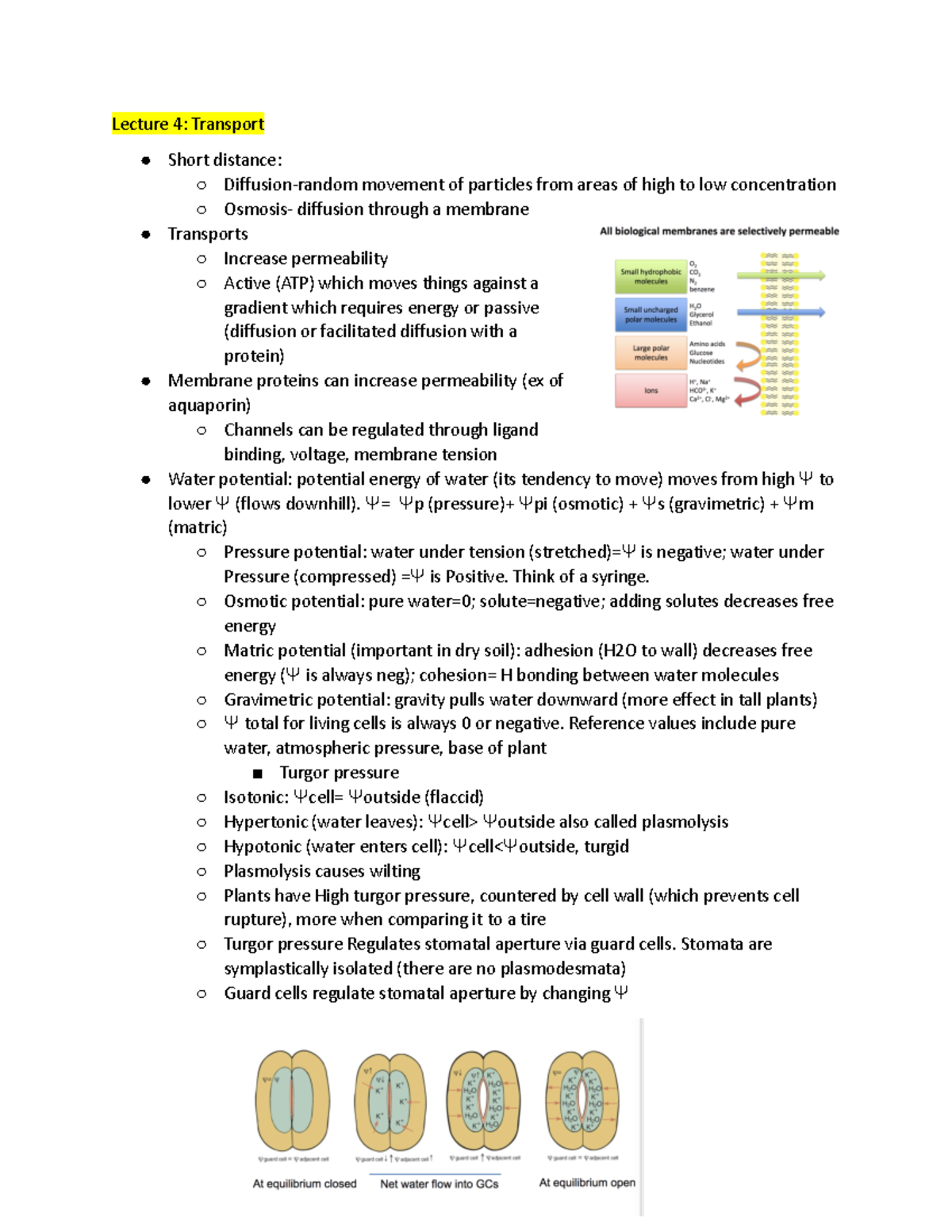 BIO 230 LECT 4 - Lecture notes 4 - Lecture 4: Transport Short distance ...