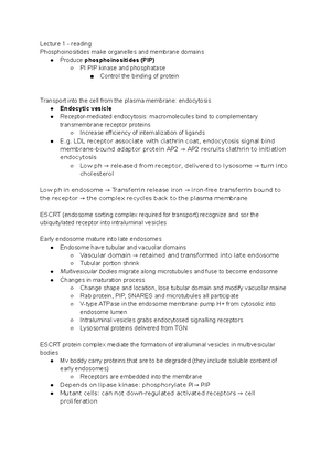 Lab 3 - flow chart - RNA extraction procedure - RNA extraction ...