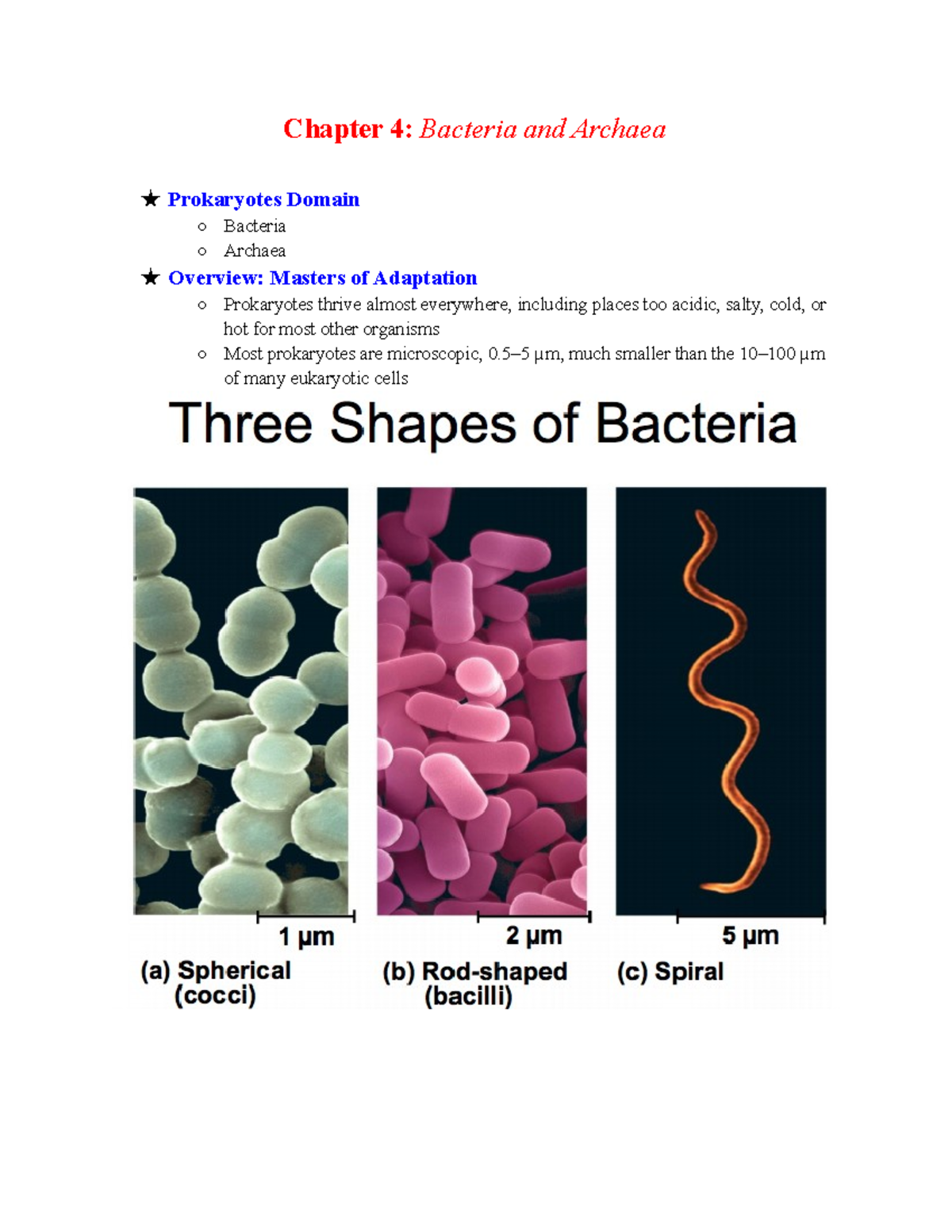 BIO182 Chapter 27 Bacteria and Archaea - Chapter 4: Bacteria and ...