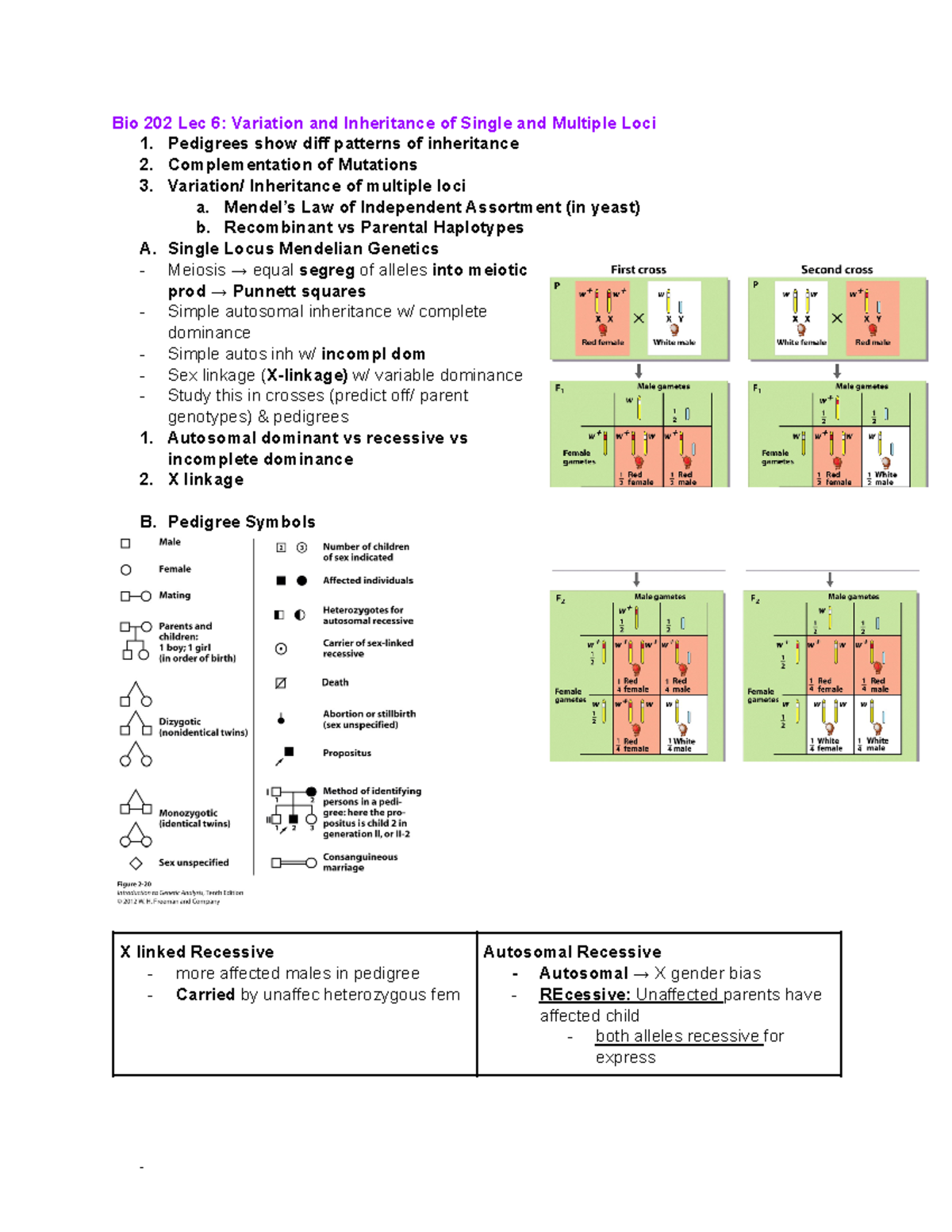Bio 202 Lec 6 Variation and Inheritance of Single and Multiple Loci ...