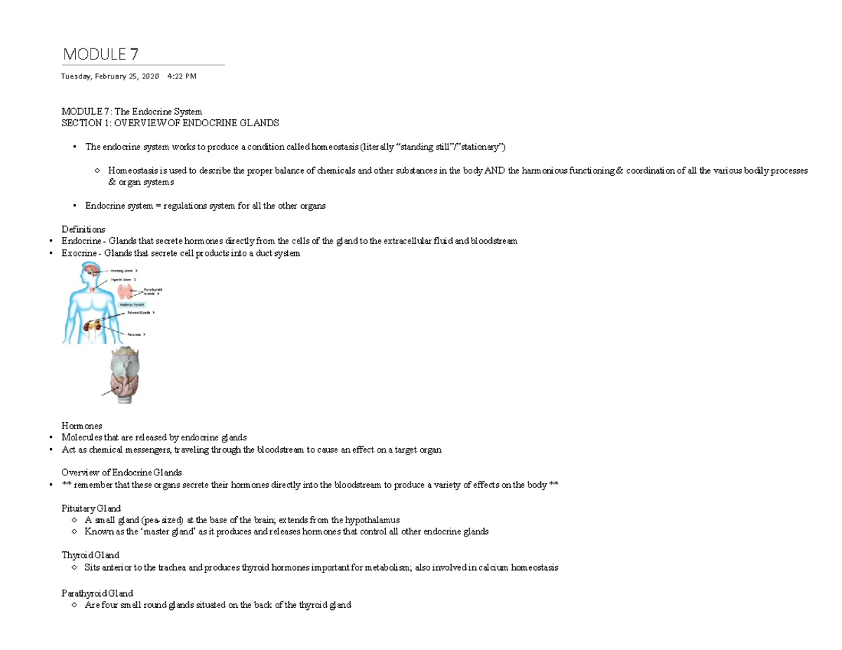 ANAT MOD 7 - Module 7 lecture - MODULE 7 Tuesday, February 25, 2020 4: ...