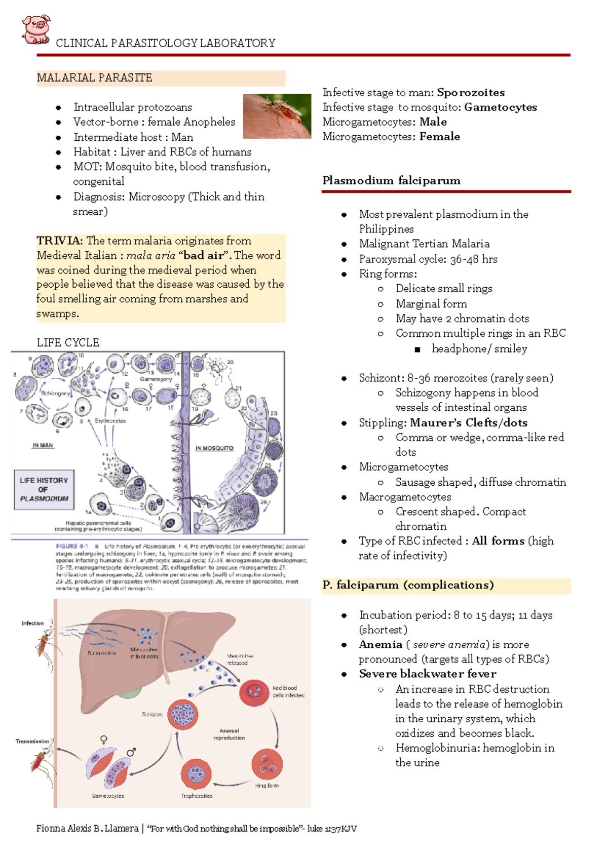 PARA LAB Malaria - nnnn - CLINICAL PARASITOLOGY LABORATORY MALARIAL ...