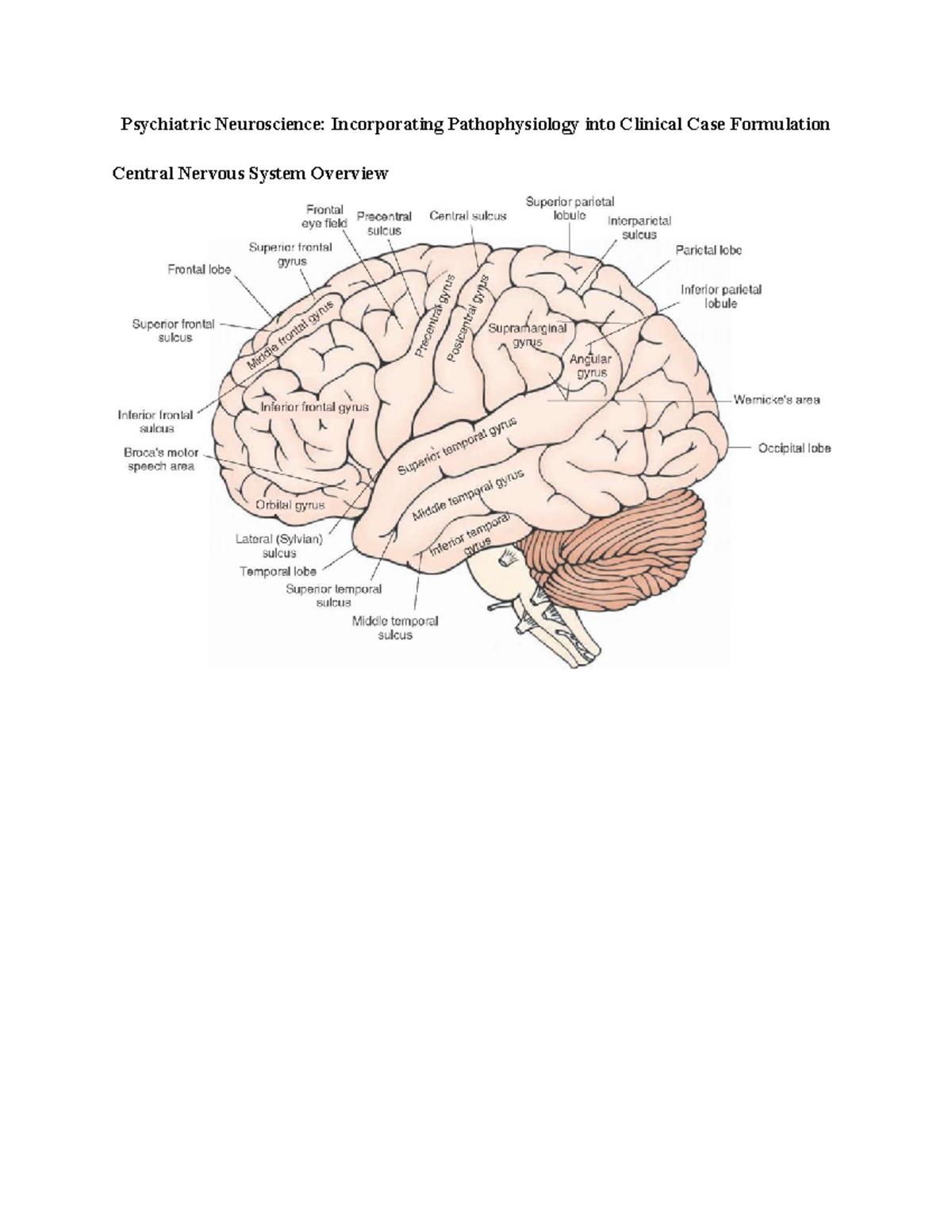 Psychiatric Neuroscience Incorporating Pathophysiology into Clinical ...