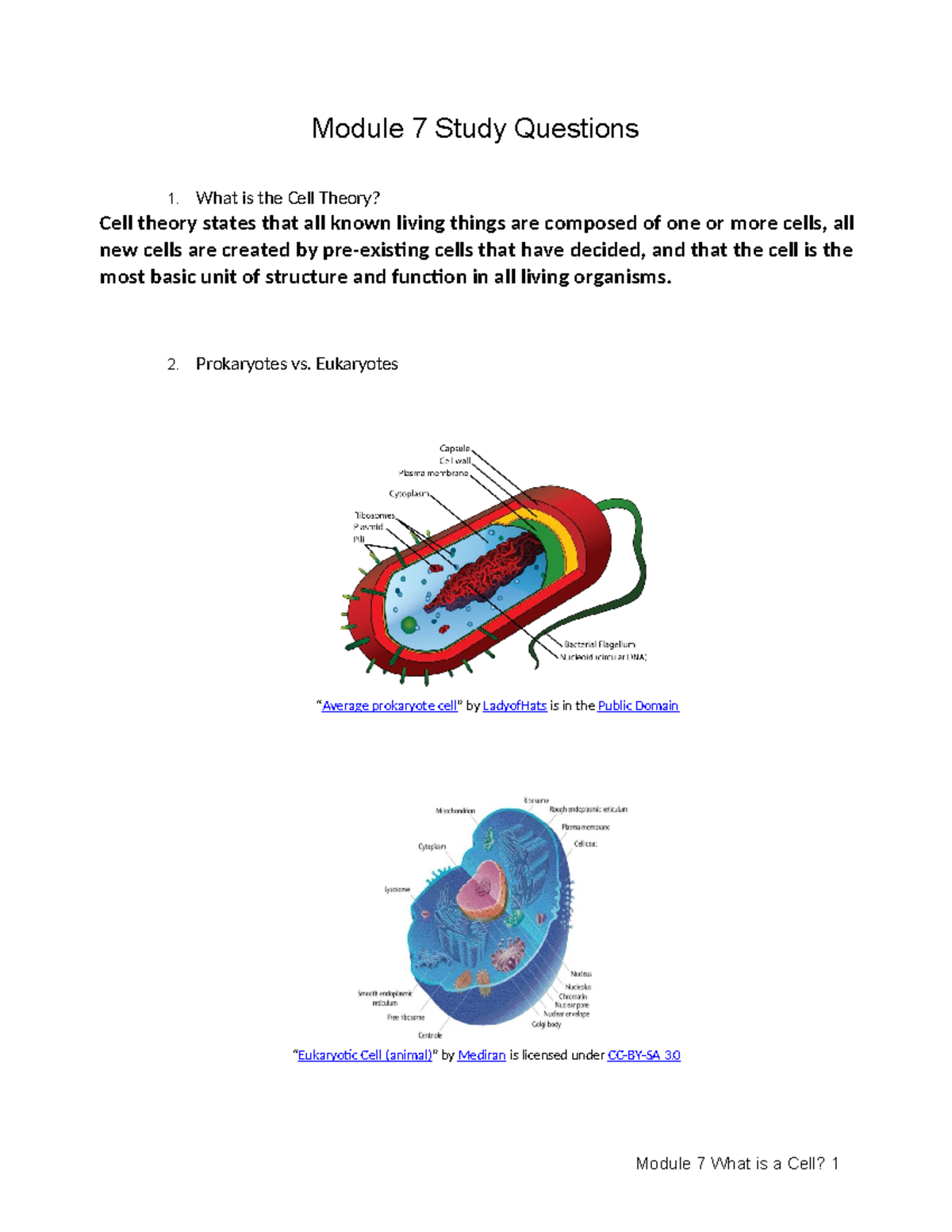 Module 7 study questions - Module 7 Study Questions 1. What is the Cell ...