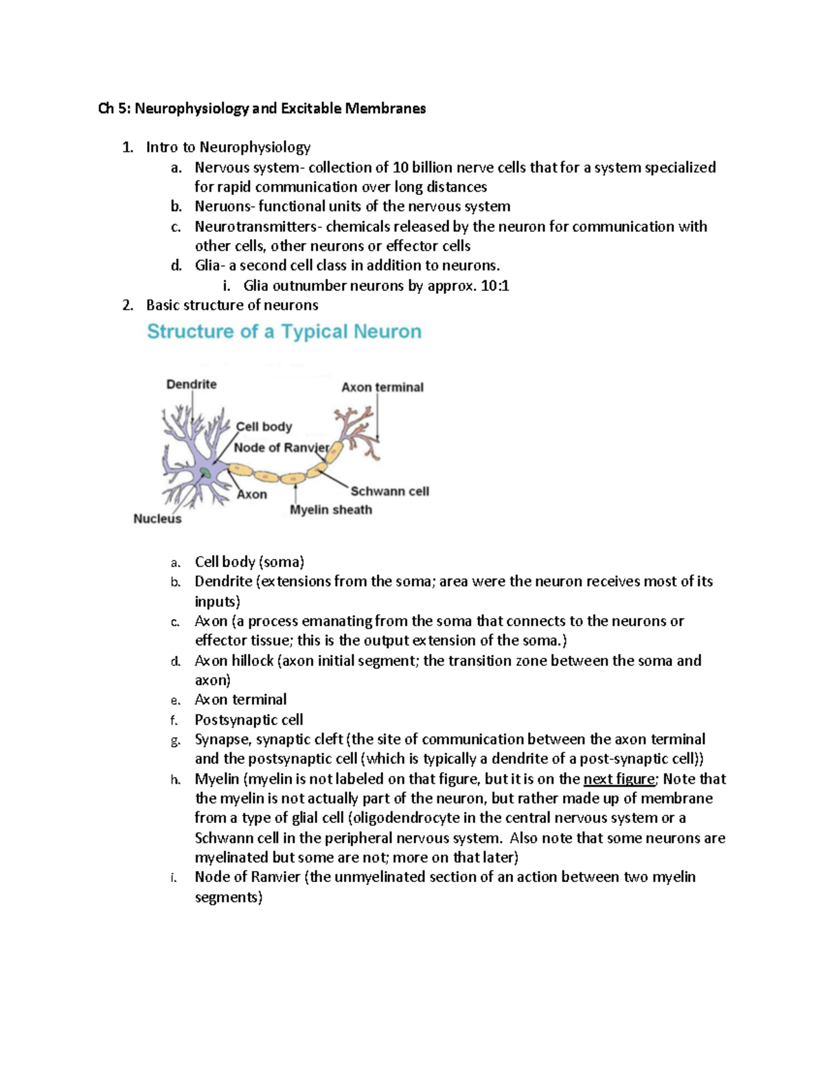 Chapter 5 notes - 5. Neurophysiology and Excitable Membranes. Basic ...