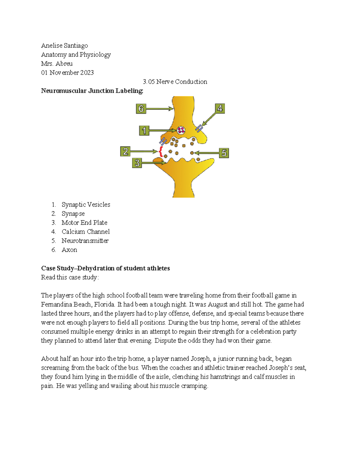 3.05 Nerve Conduction - Anelise Santiago Anatomy and Physiology Mrs ...