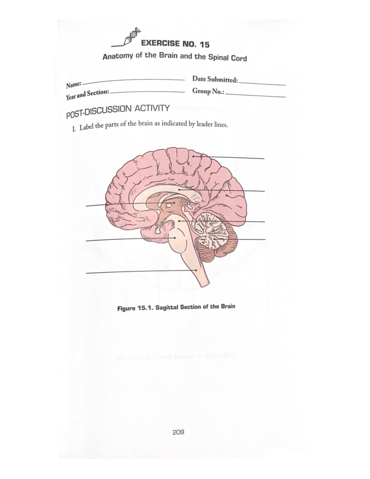 HAPP- Brain - BS Psychology - Studocu