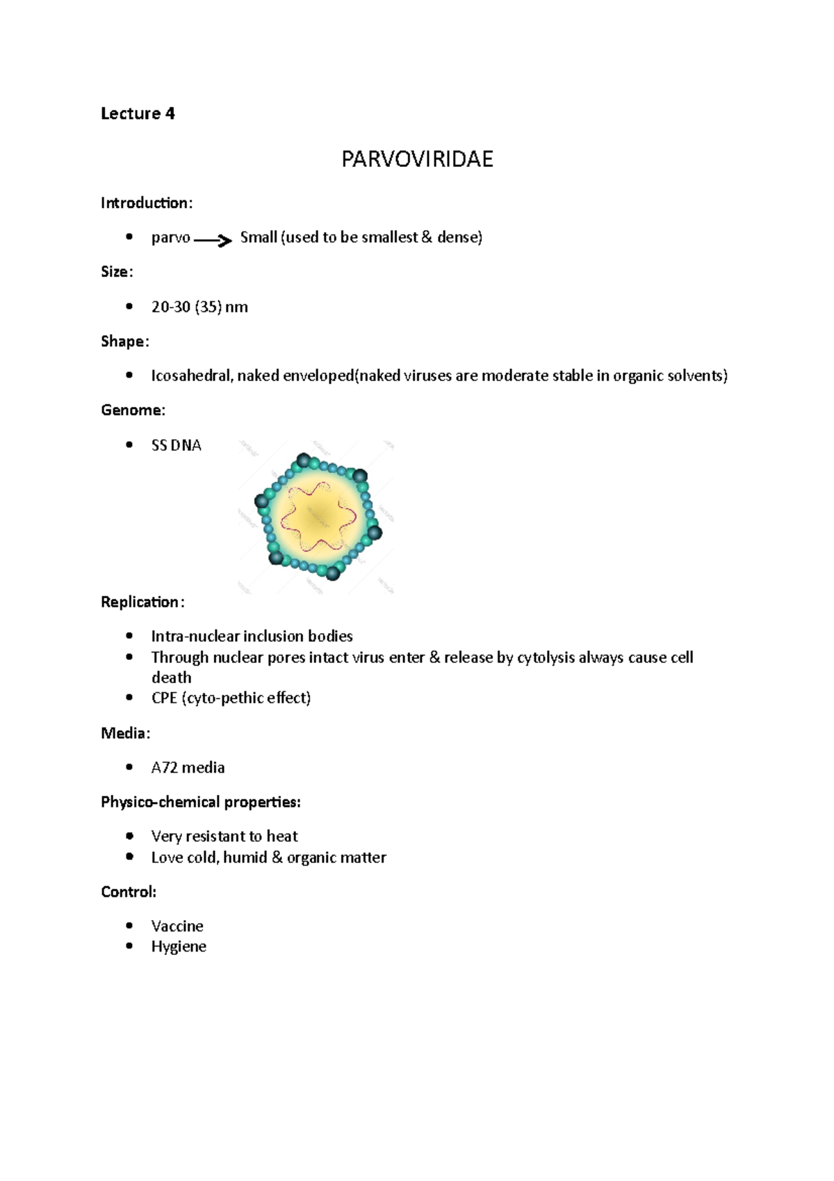 Lec 4 Parvoviridae - Lecture 4 PARVOVIRIDAE Introduction : parvo Small ...