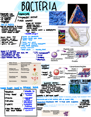 Chapter 17 - Biology - AP Biology Reading Guide Julia Keller 12d Fred ...