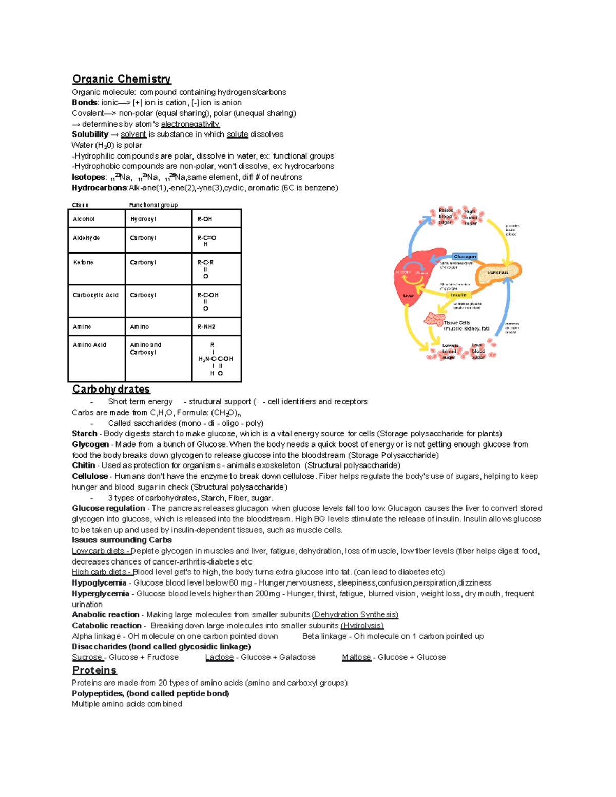 Biochem review - Organic Chemistry Organic molecule: compound ...