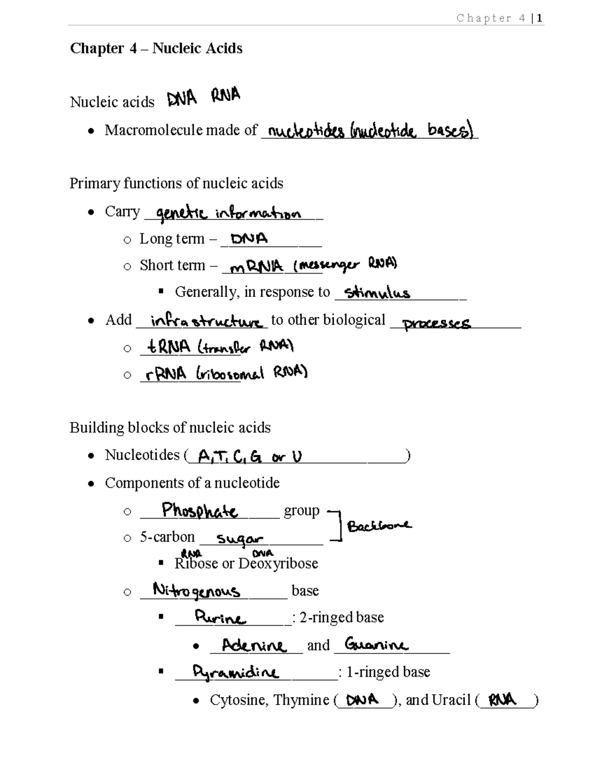 Chapter 4 Notes - Chapter 4 – Nucleic Acids Nucleic acids Macromolecule ...