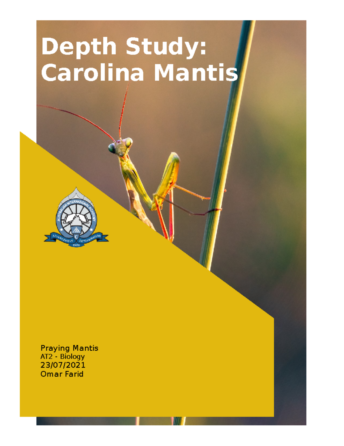 Scientific Report Final - Depth Study: Carolina Mantis Praying Mantis ...
