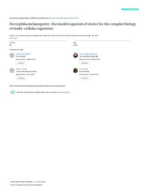 Script FOR Coronation Rites - GRADE SCHOOL CORONATION PROGRAM ...