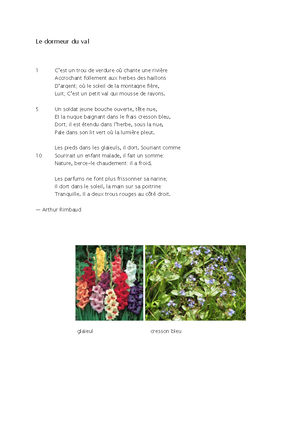 Ob b76c87 le-mal-rimbaud - Lecture analytique du poème « Le Mal », d ...