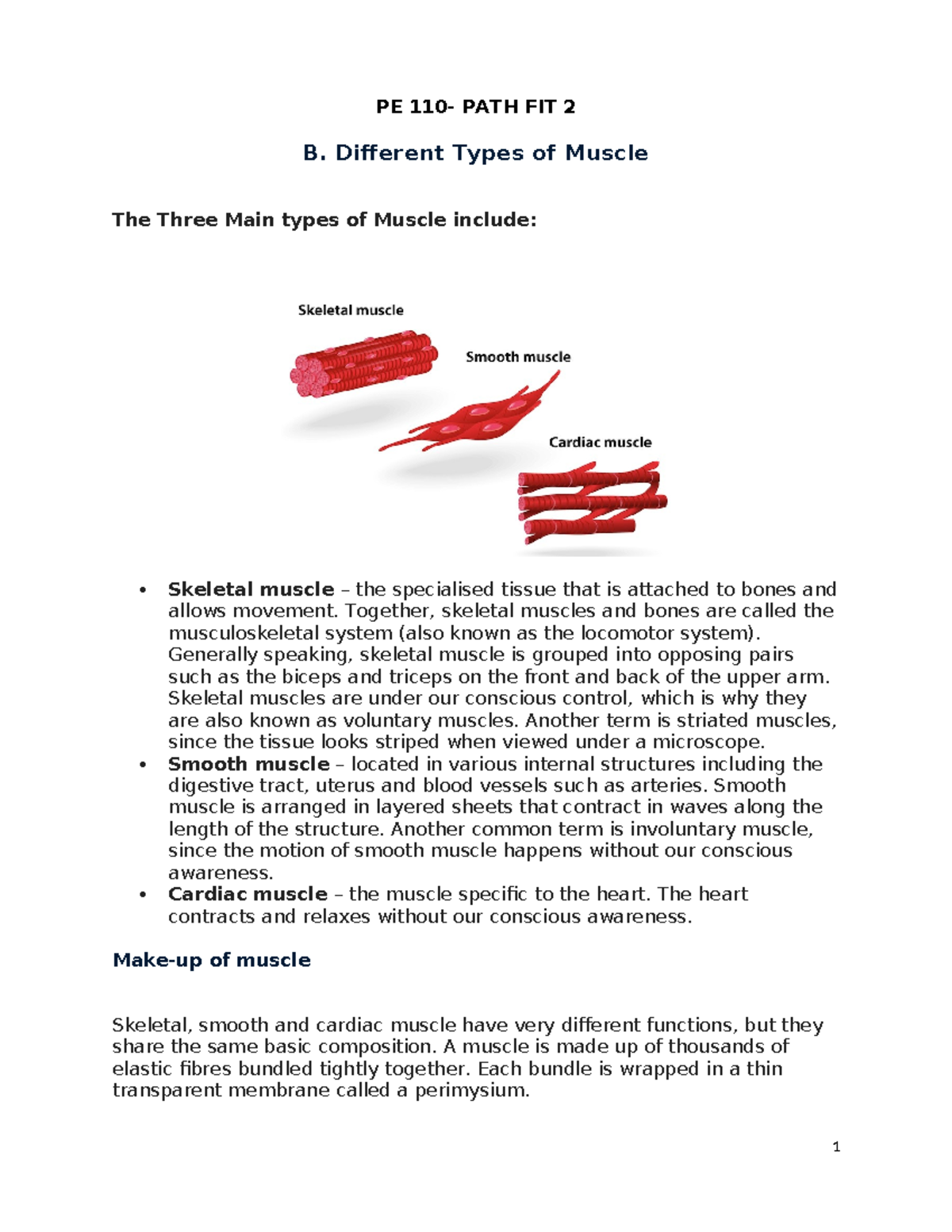 Muscle produce movement - PE 110- PATH FIT 2 B. Different Types of ...
