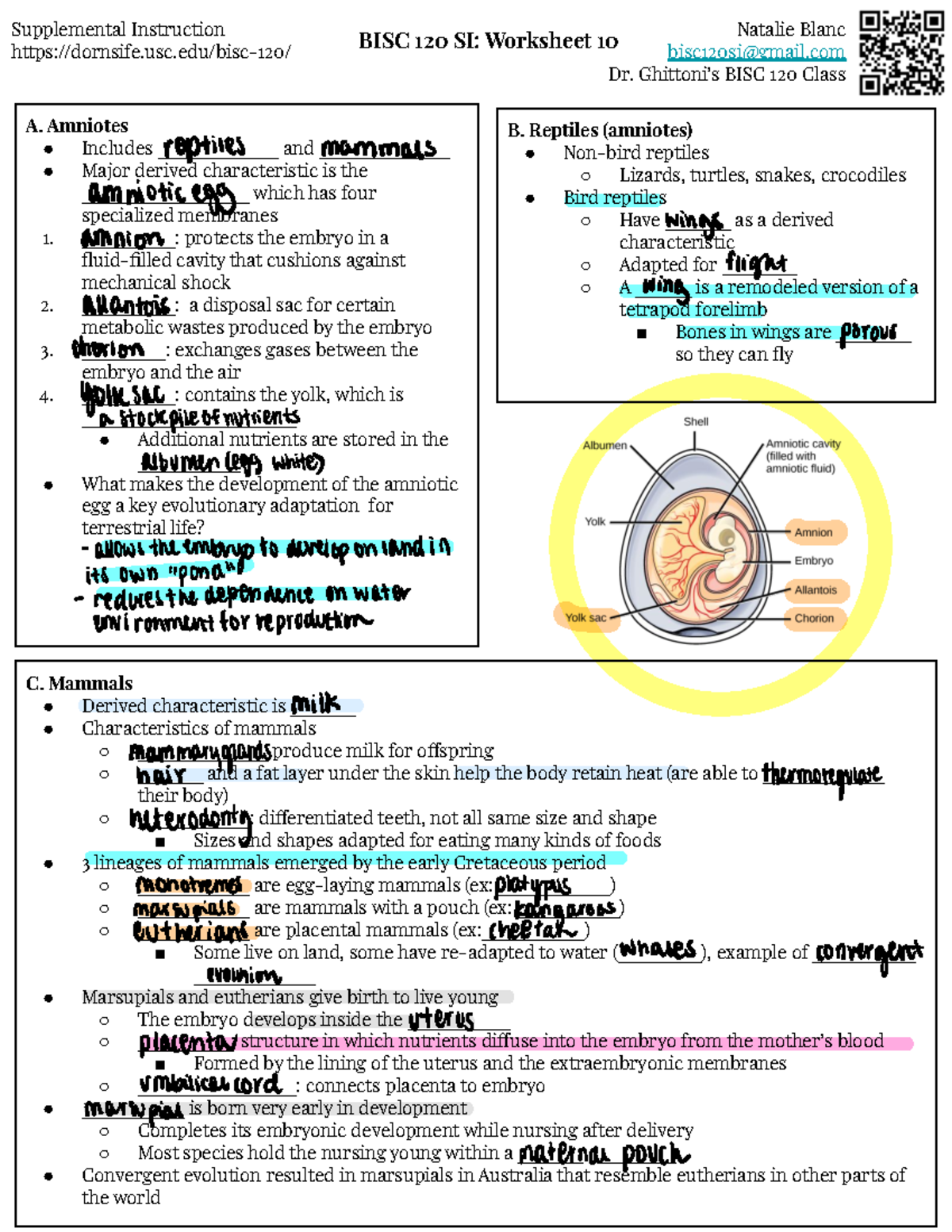 120 SI Sheet 10-4 - extensive notes - reptiles mammals amniotic egg ...