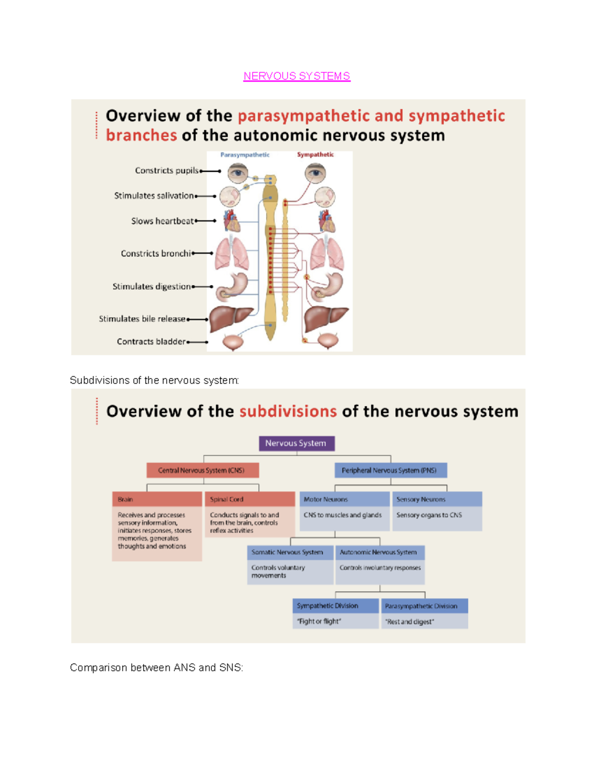 Lecture unit 5 - NERVOUS SYSTEMS Subdivisions of the nervous system: Comparison between ANS and ...