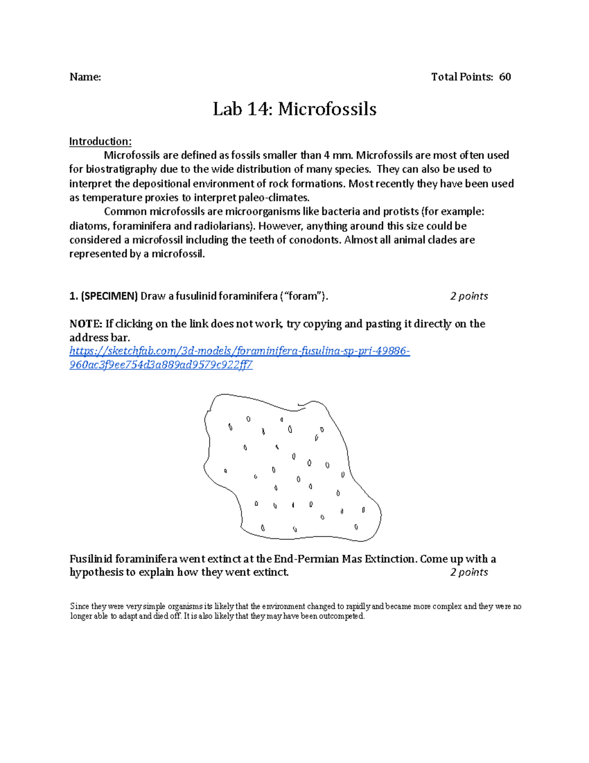 Lab 14 - Lab - Name: Total Points: 60 Lab 14: Microfossils Introduction ...