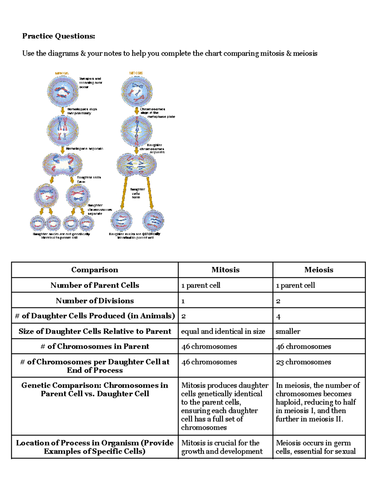 Comparison Chart of Mitosis and Meiosis - Practice Questions: Use the ...