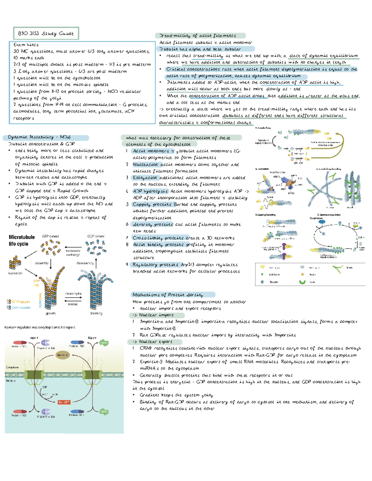 Cell Bio Study Guide - Basically the last lecture of the course (a lot ...