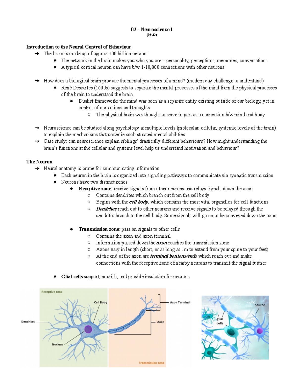 03 - Neuroscience I - Notes - 03 - Neuroscience I (29:42) Introduction ...