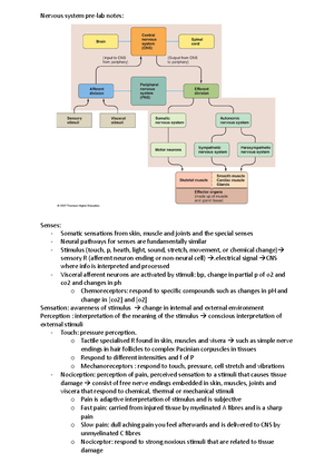 asdasdd sasadsda dasads ads dsa dsad sad ad s - Physiology The study of ...