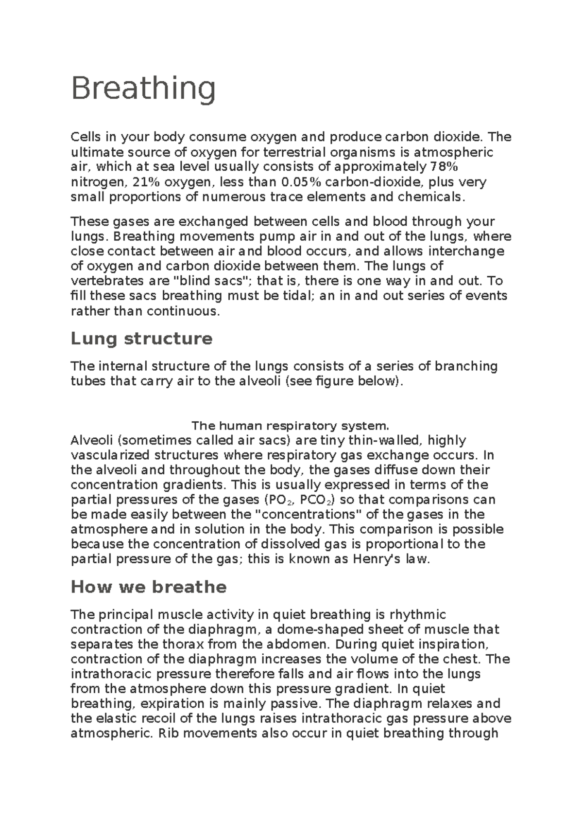 Pre-Lab (Lab 1 - Breathing) - Breathing Cells in your body consume ...