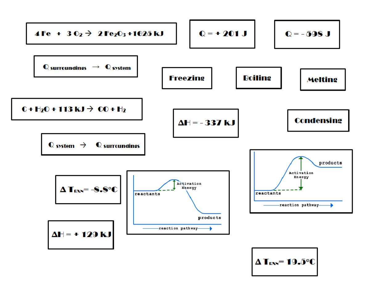 Exothermic vs Endothermic Card Sort - Studocu