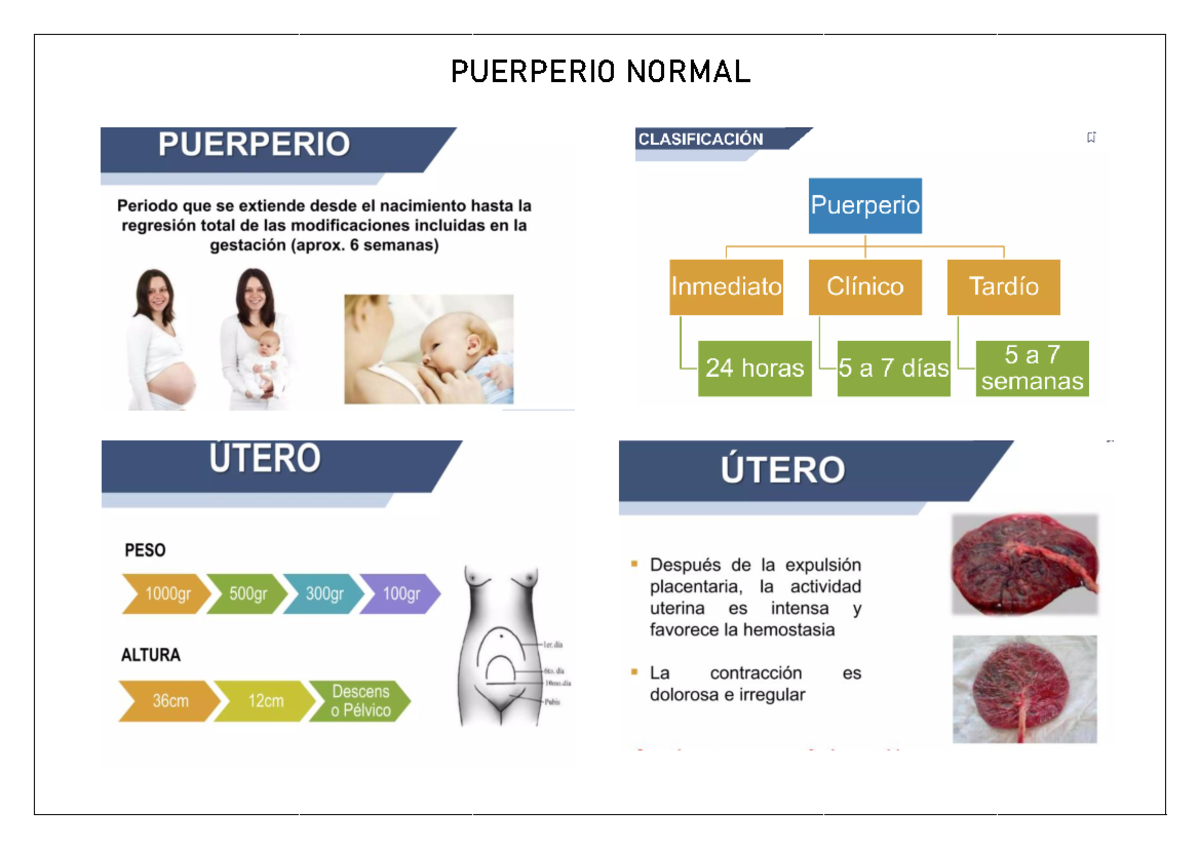 Puerperio Normal - Apuntes - PUERPERIO NORMAL PUERPERIO NORMAL 1 ...