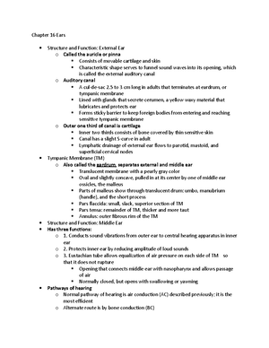 Eye, Ears, Nose, Mouth, and Throat Scripts - NR302 Eyes, Ears, Nose ...