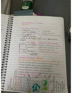 Med note 5 - Organization of the body notes - Organization OF The Body ...