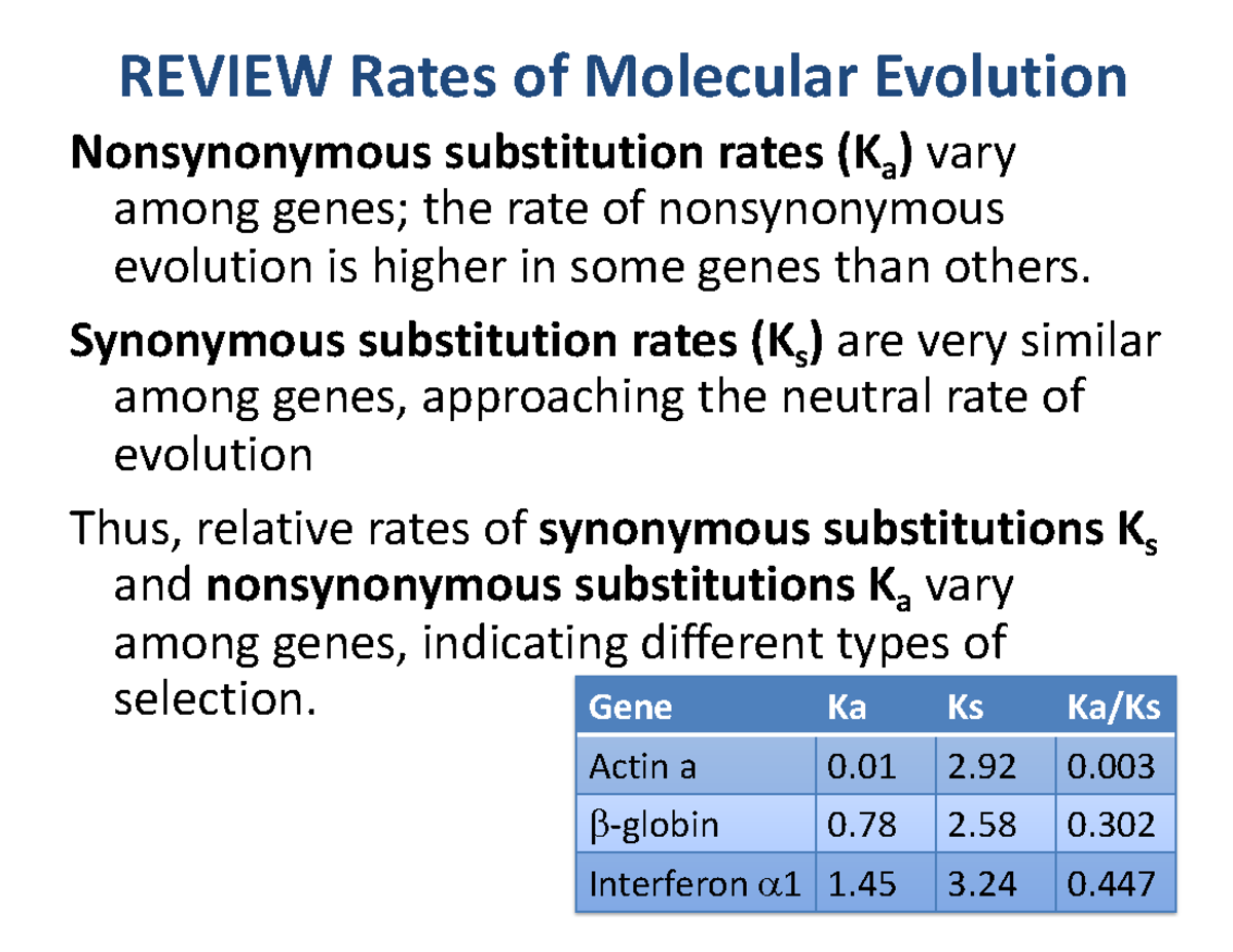 Lect40 Morph Evol&Species - REVIEW Rates of Molecular Evolution ...
