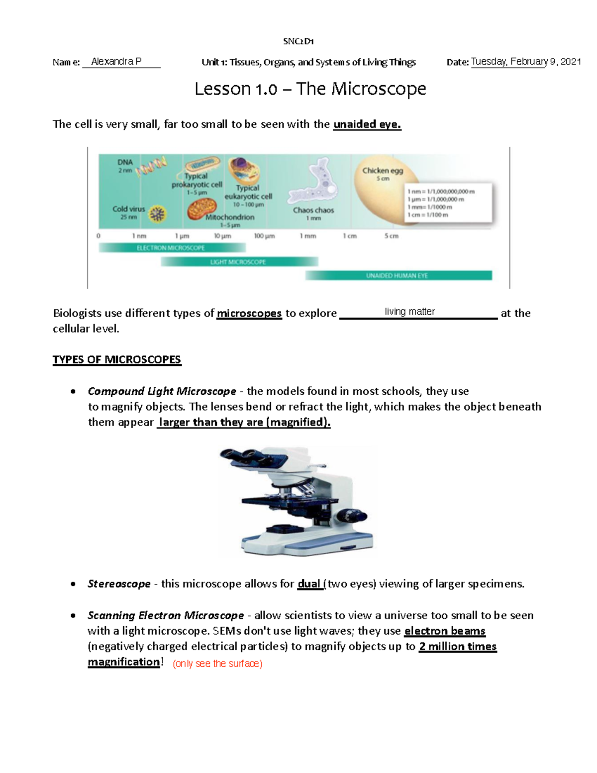 1.0 - The Microscope - n/a - Name: ________________ Unit 1: Tissues ...