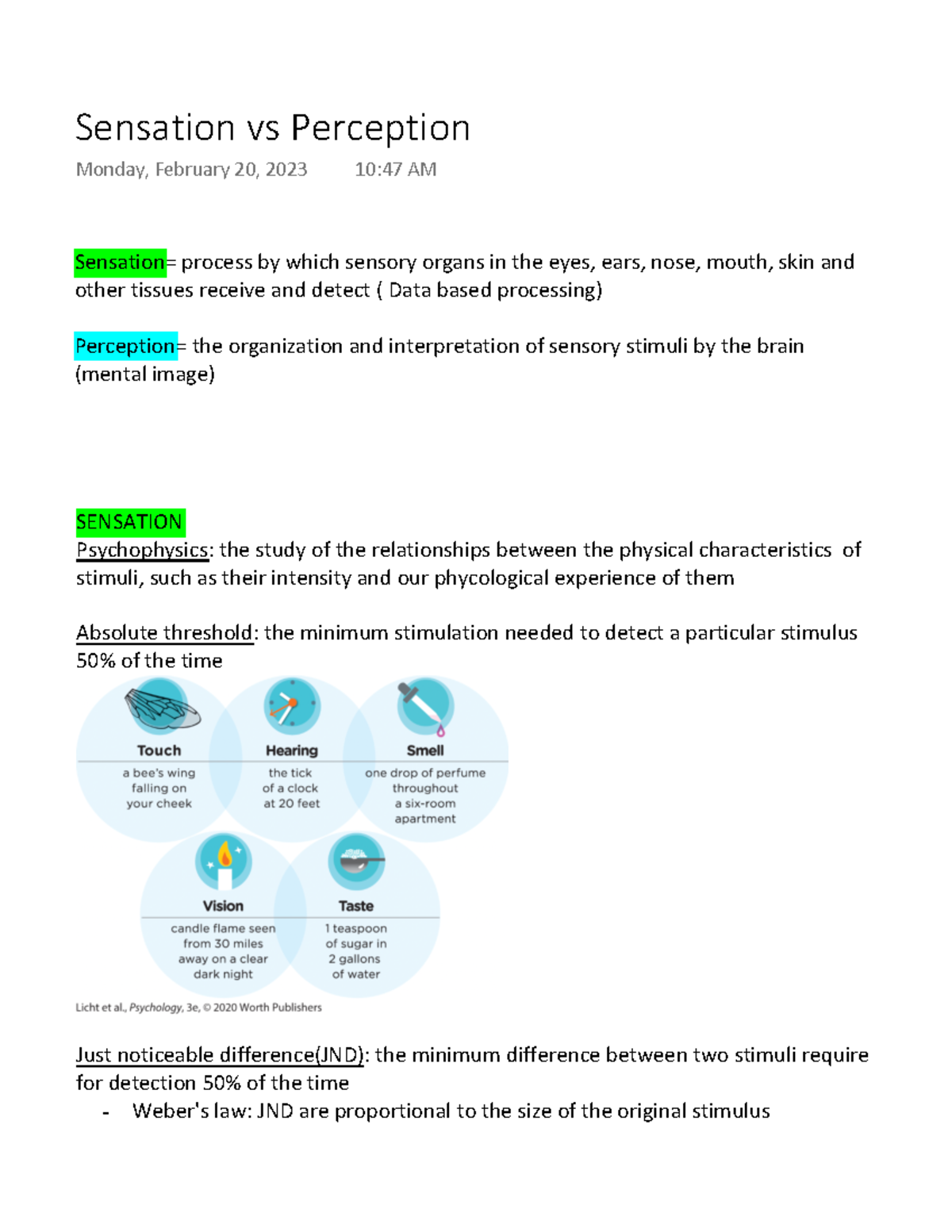 Sensation vs Perception - Sensation= process by which sensory organs in ...
