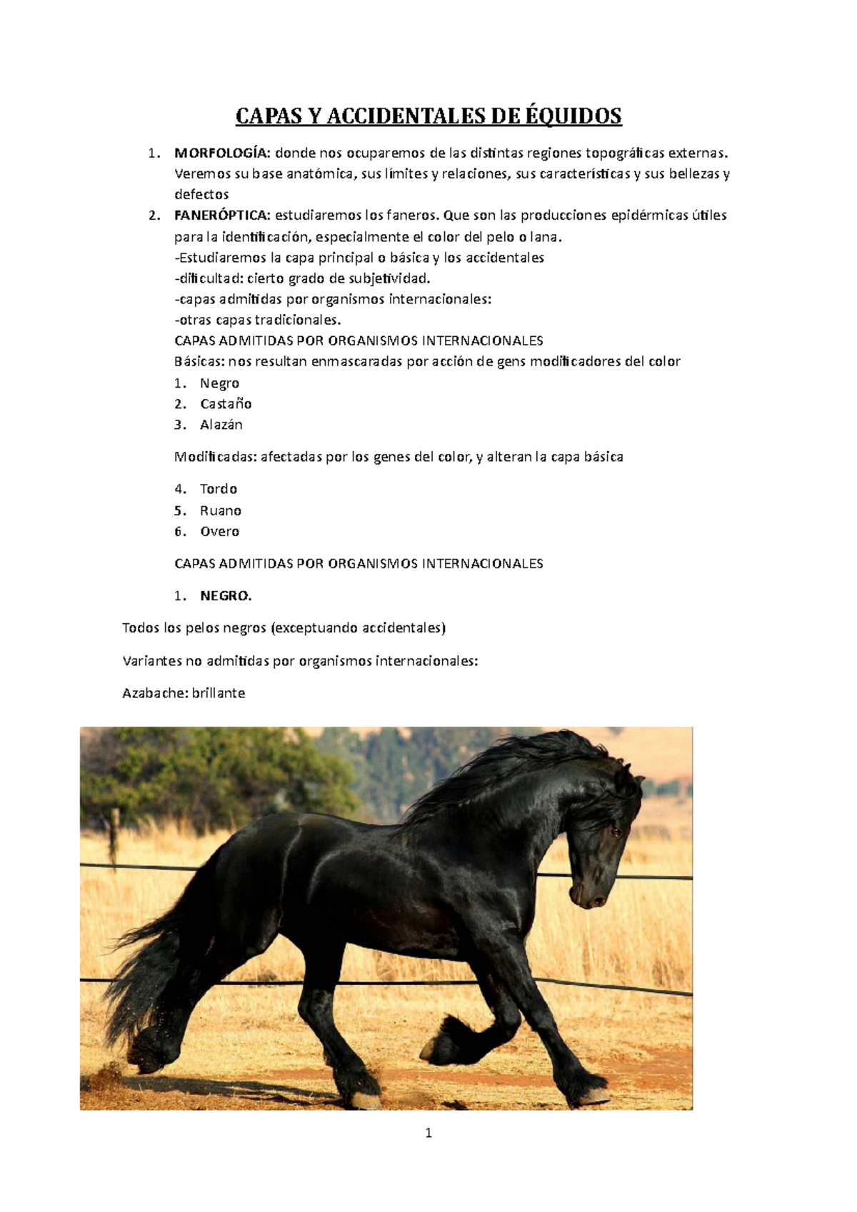 Capas Équidos - CAPAS Y ACCIDENTALES DE ÉQUIDOS 1. MORFOLOGÍA: donde nos ocuparemos de las ...