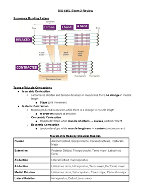 Lab 1 Intro to VB the Body Movements Planes of Motion 23 - BIO 446L ...