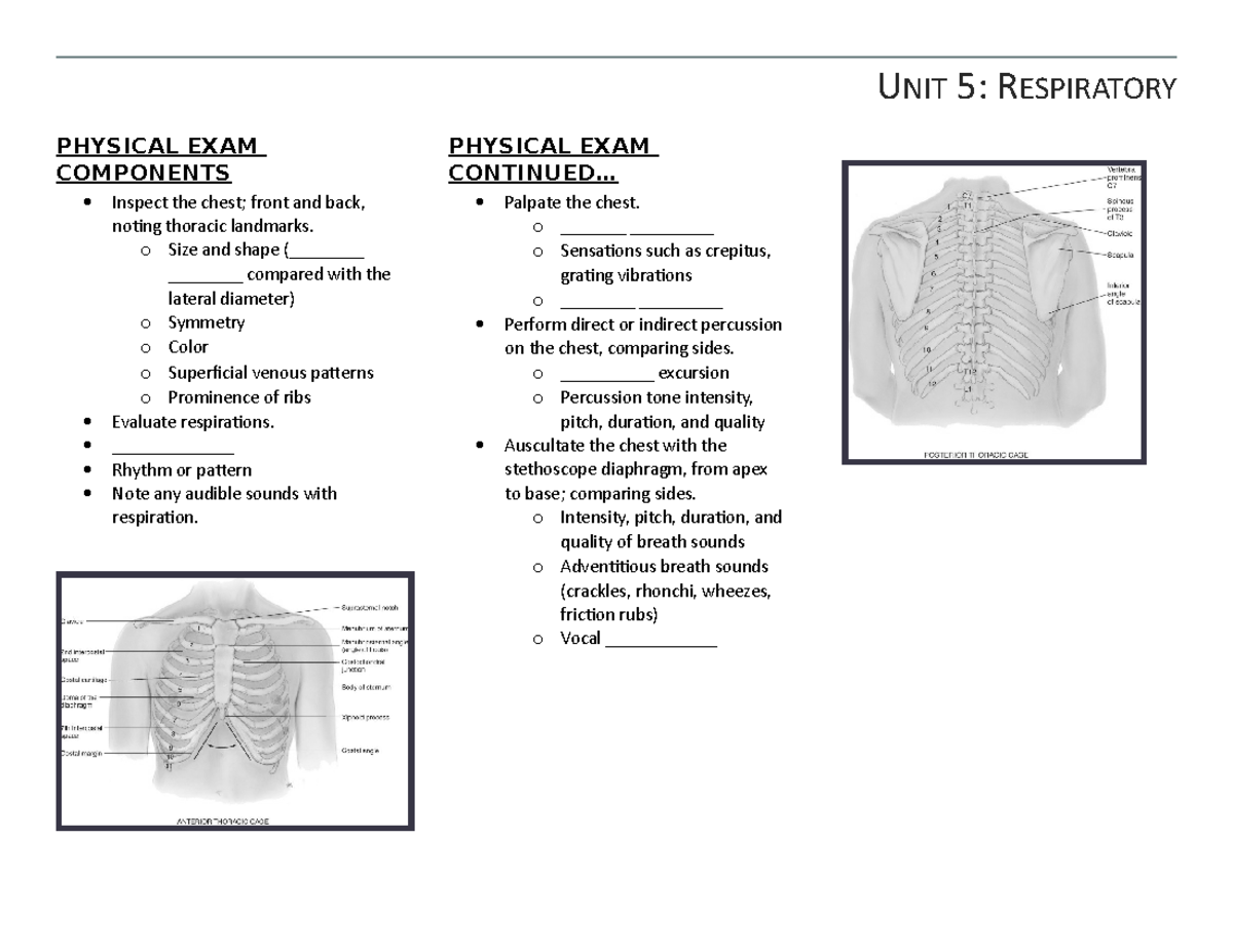Unit 5. Respiratory System - PHYSICAL EXAM COMPONENTS Inspect the chest ...