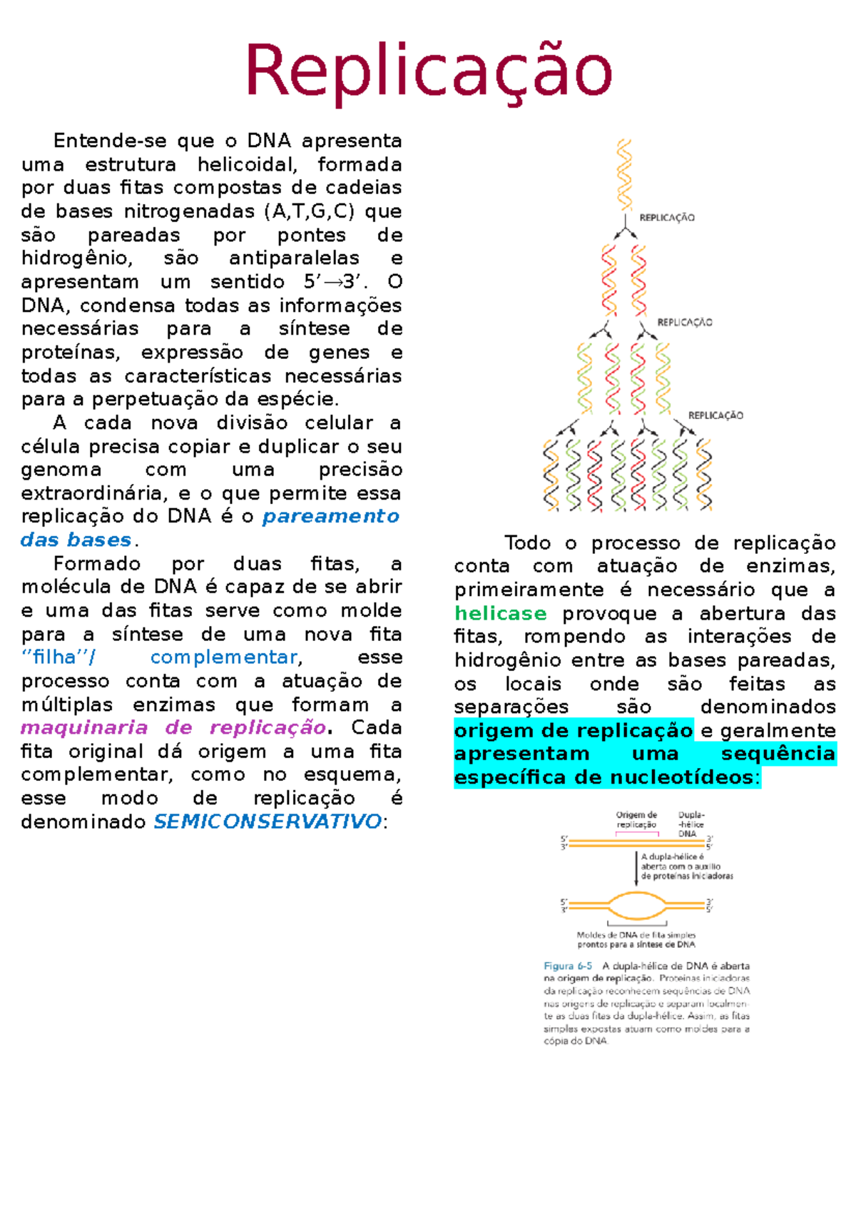 3- Replicação - Replicação Entende-se que o DNA apresenta uma estrutura ...