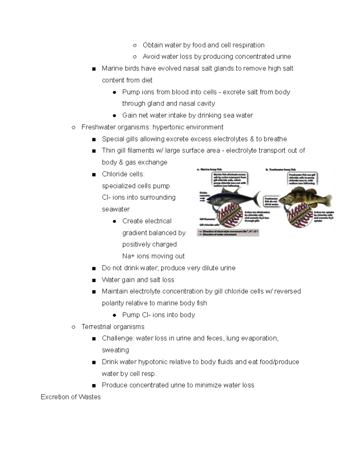 Waste Excretion - Studocu