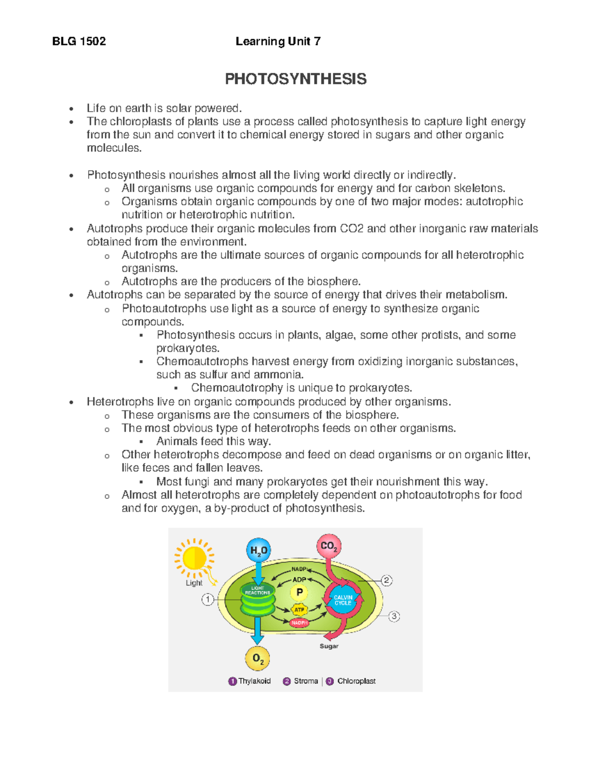 Study unit 7 - PHOTOSYNTHESIS - PHOTOSYNTHESIS Life on earth is solar ...