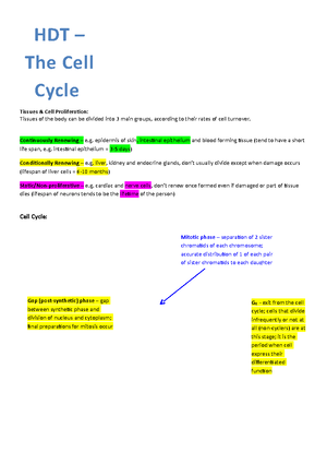 CAN09-Anatomy of Nerve Plexuses - A11CAN/09 The Anatomy of Nerve ...